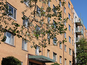 Housing Analysis & Policy Spotlight (HAPS)